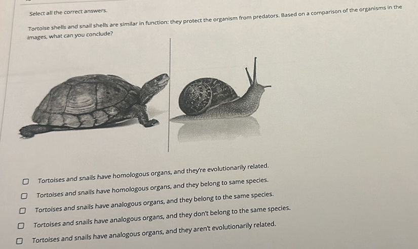 Select All the Correct Answers. Tortoise Shells and Snall Shells Are ...